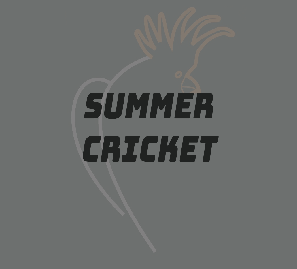 Seniors Playing Conditions – Nepean District Cricket Association