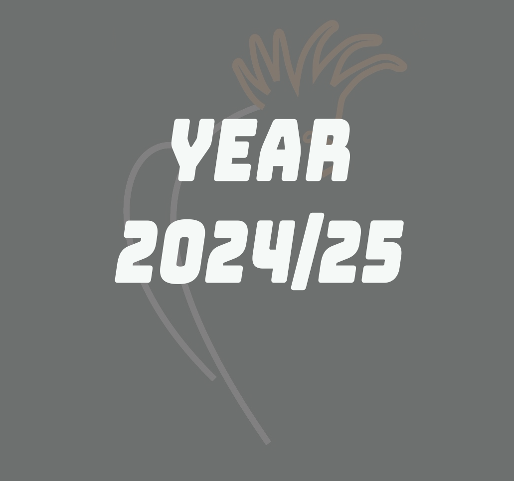 Senior’s Grading – Nepean District Cricket Association